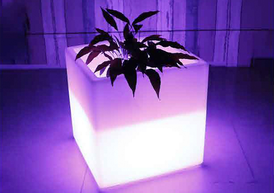 iLed | HotelXperts Worldwide